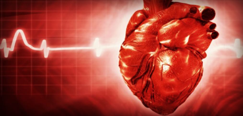 The Most Common Medical Tests for Heart Disease - Walk-In Lab Resource ...