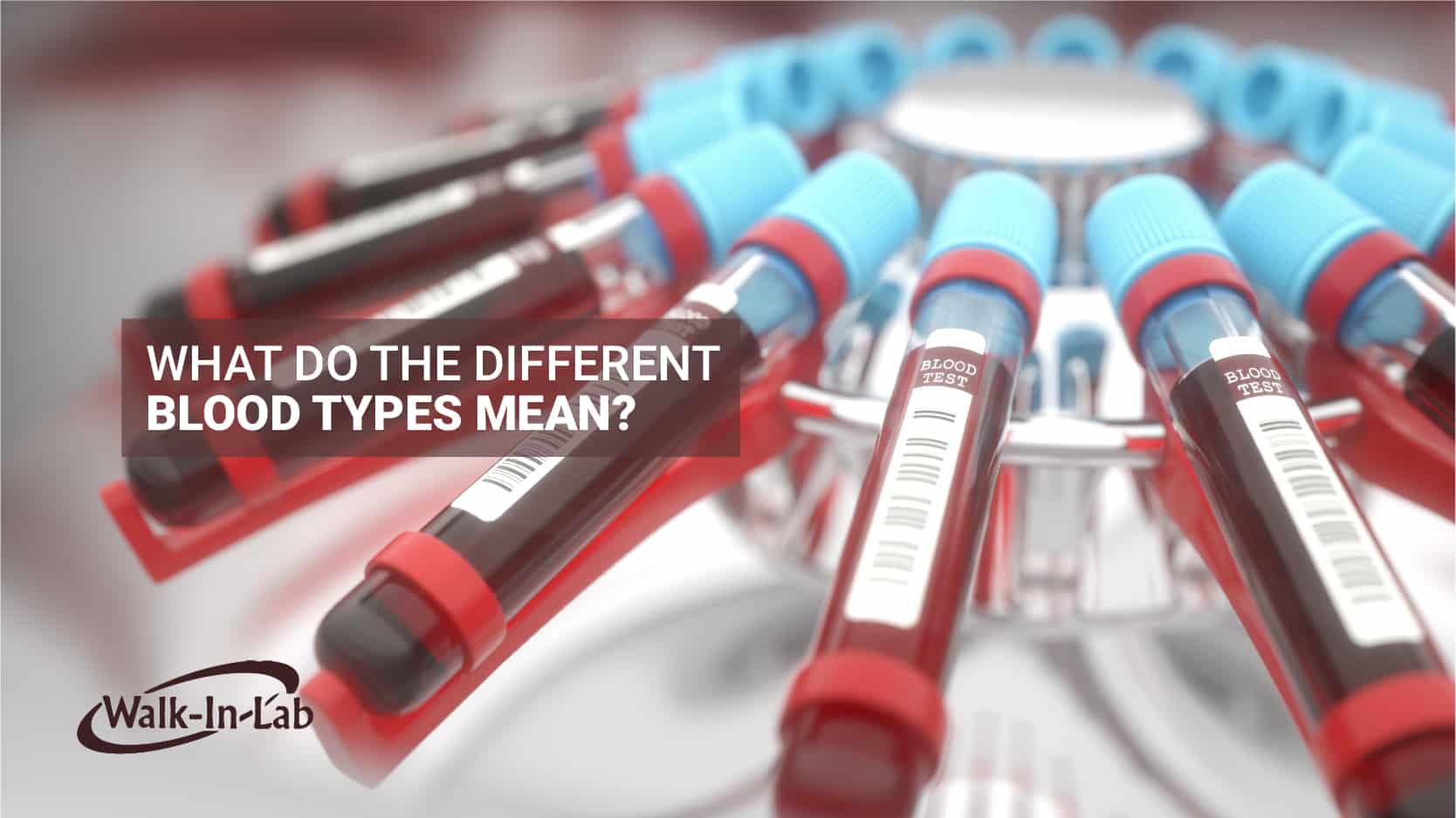 Blood Types Explained: What A, B, AB, and O Mean