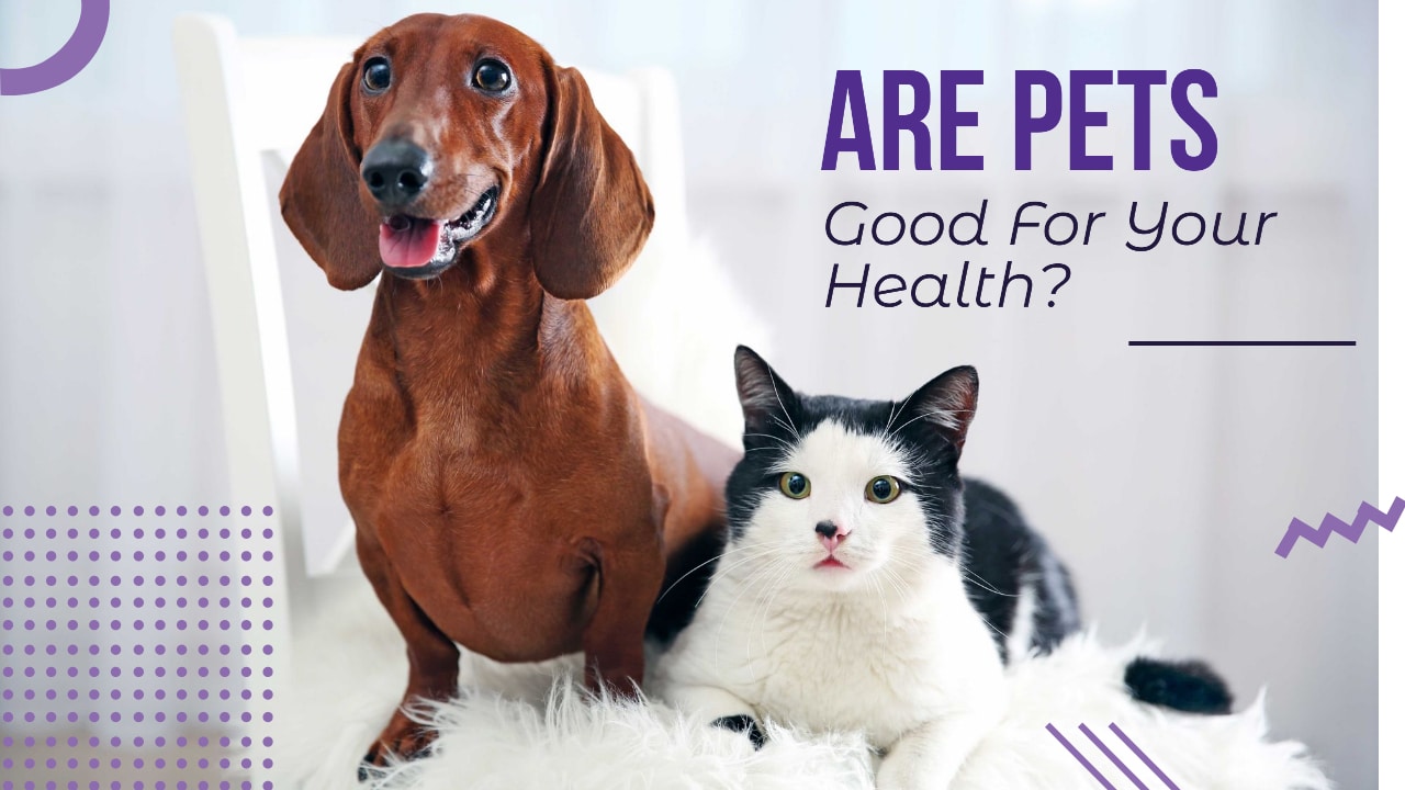 Health Benefits of Pets: Physical and Mental Wellness Perks