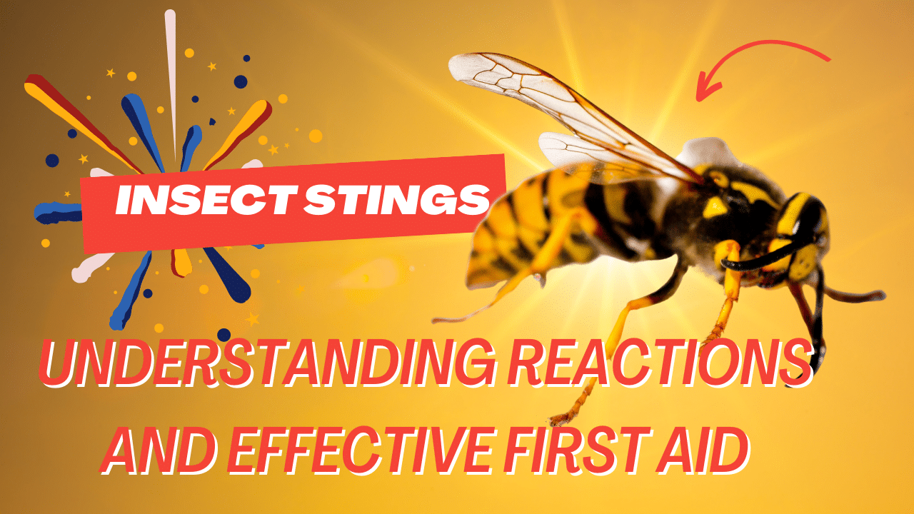 Insect Stings: Understanding Reactions and Effective First Aid - Walk ...