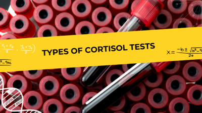 The Cortisol Blood Test: A Comprehensive Guide - Walk-In Lab Resource ...