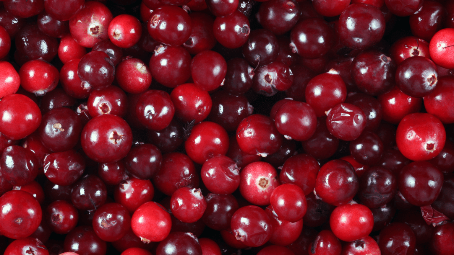 Cranberries: Nutrition Benefits and Holiday Health Perks